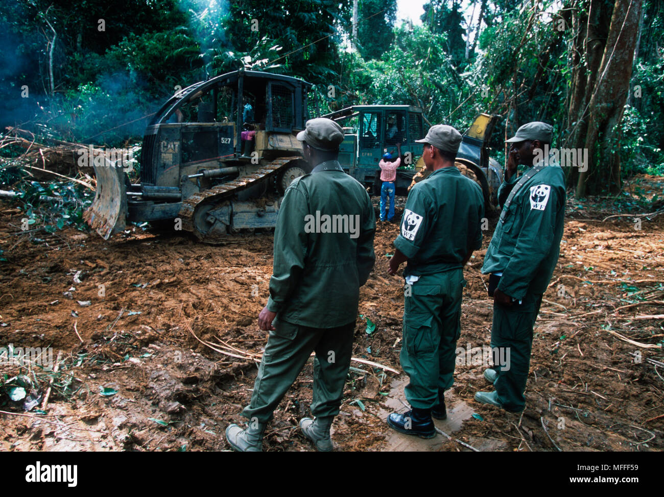 WWF International staff monitoring logging operations in Gabon Stock ...