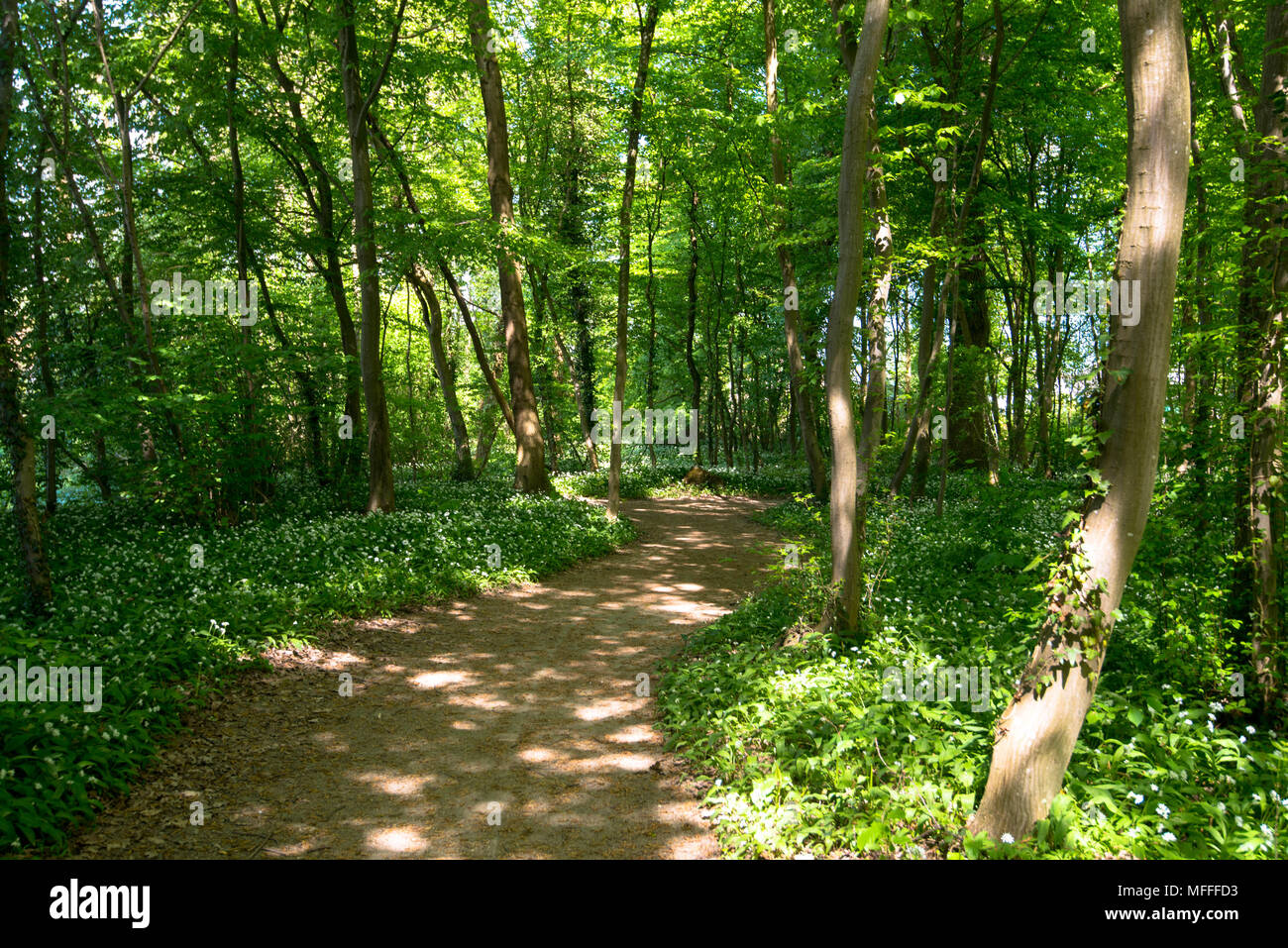 Rhine spring hi-res stock photography and images - Alamy