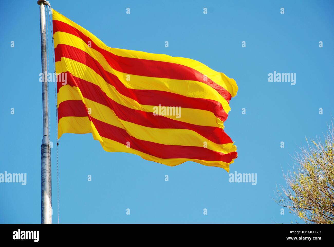 Catalonian Flag High Resolution Stock Photography and Images - Alamy