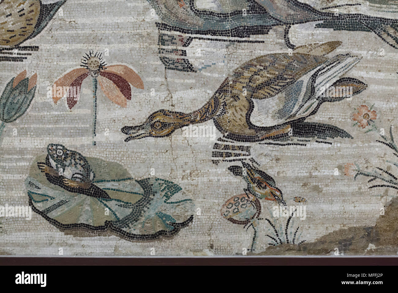 Duck and frog depicted in the Roman mosaic with the Nilotic scene from ...