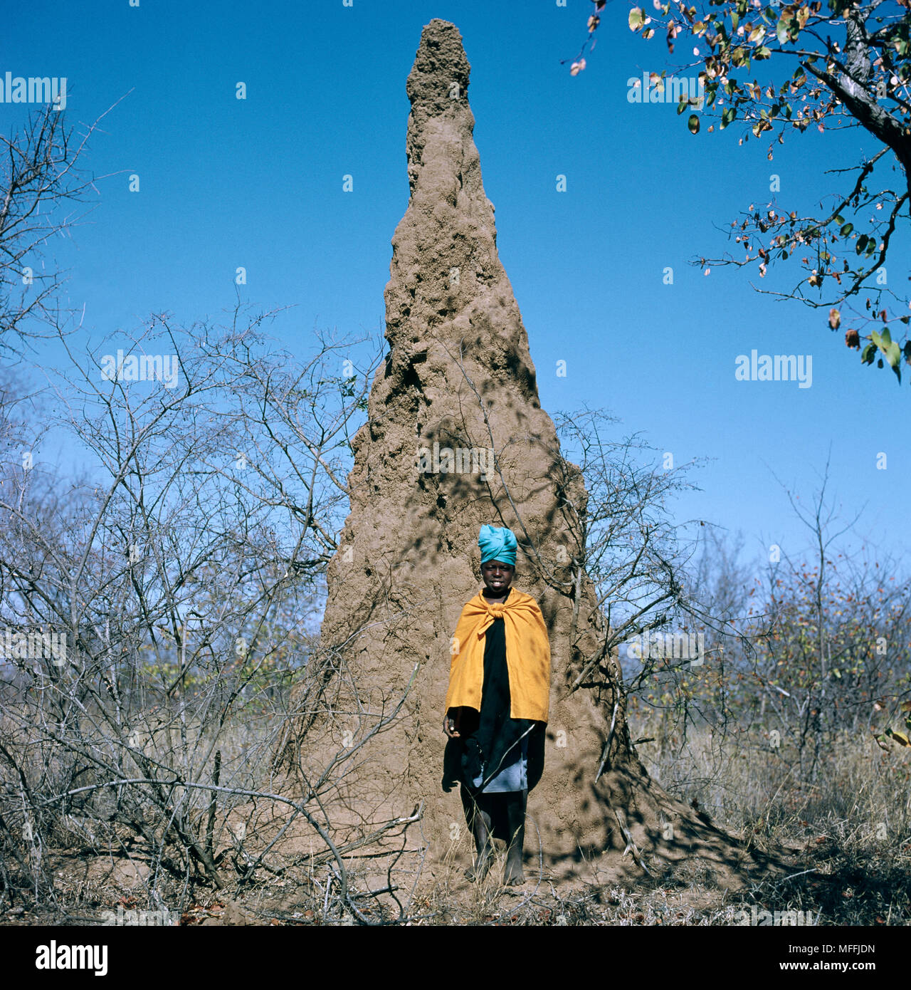 Termite mound macrotermes bellicosus hi-res stock photography and ...