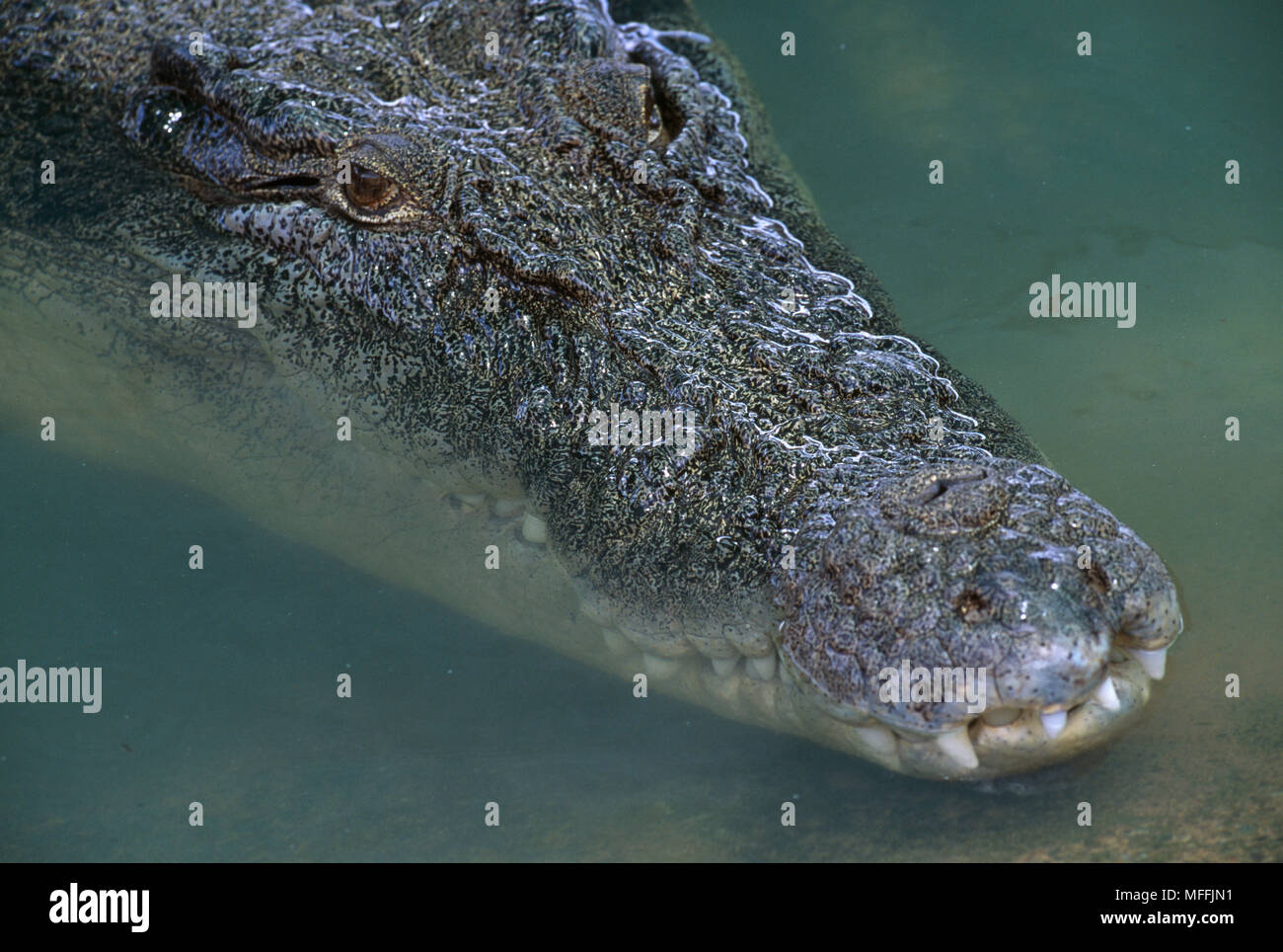 The kimberley timor sea hi-res stock photography and images - Alamy