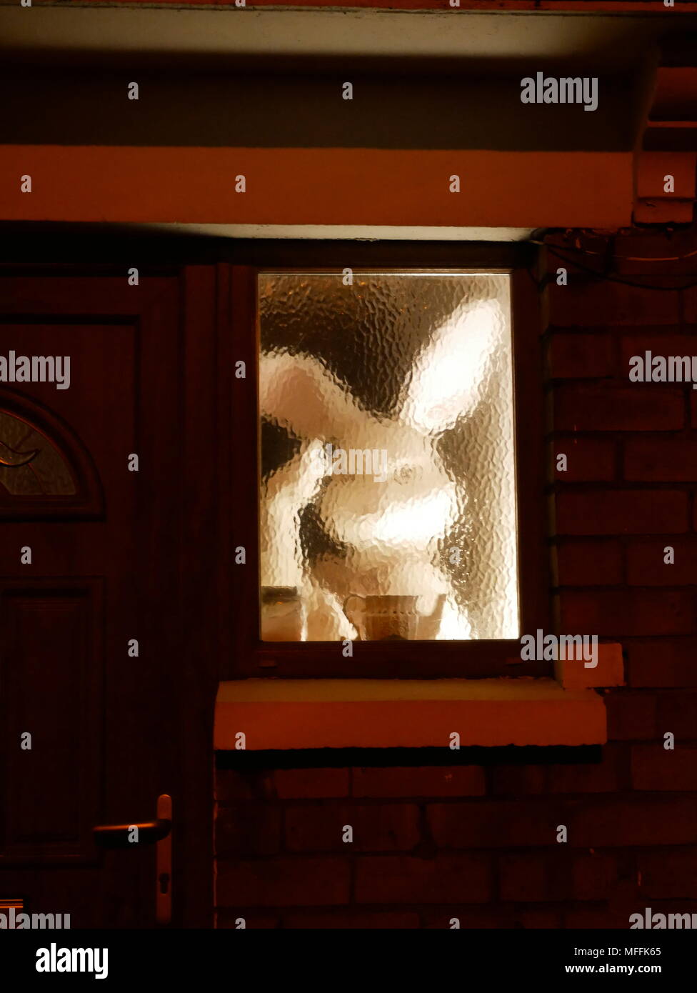 A giant white rabbit standing in the window of a home in Belfast ...