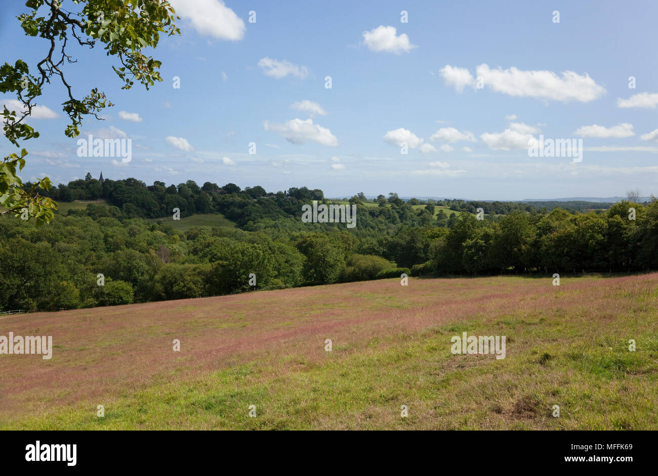 Highbrook Valley - Weald of Sussex Stock Photo - Alamy