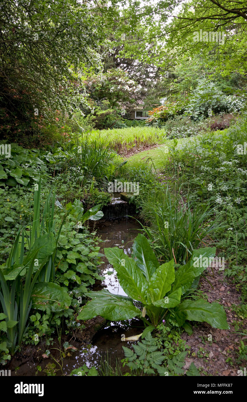 Sussex Garden, Whitehouse Cottage, Staplefield, UK Stock Photo - Alamy