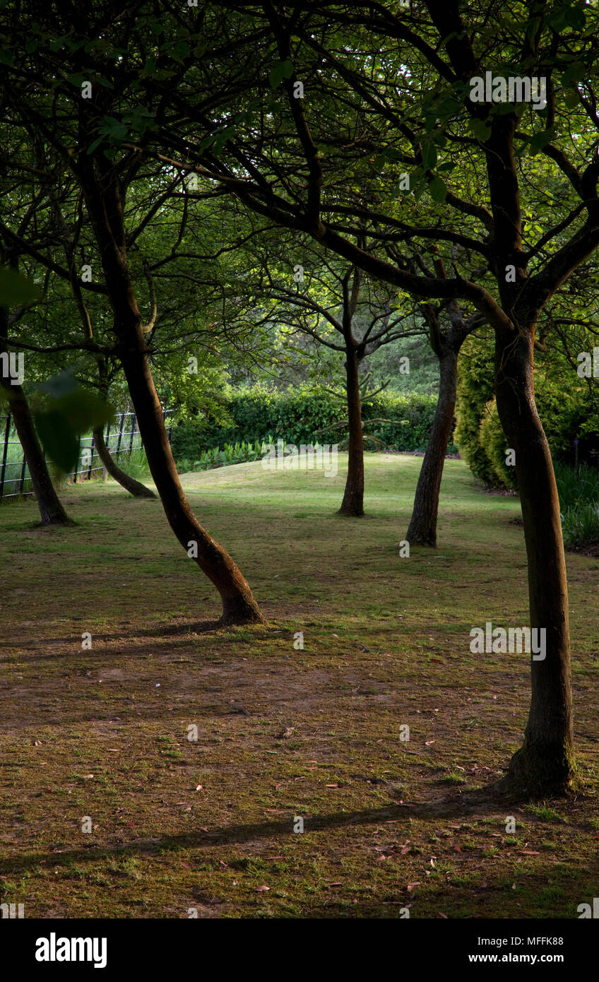 Sussex Garden, Whitehouse Cottage, Staplefield, UK Stock Photo - Alamy