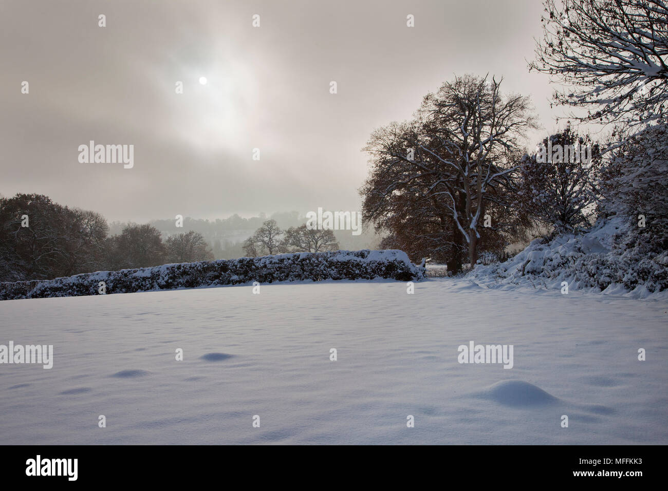 FIELD IN SNOW, Sussex, UK. December Stock Photo - Alamy
