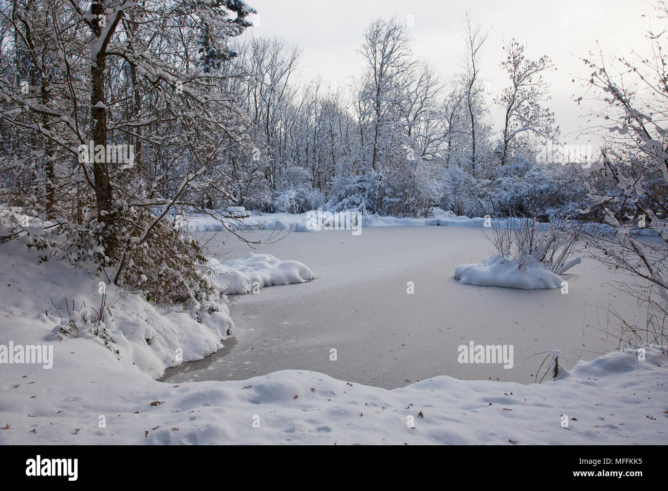 Snow scenes sussex hi-res stock photography and images - Alamy