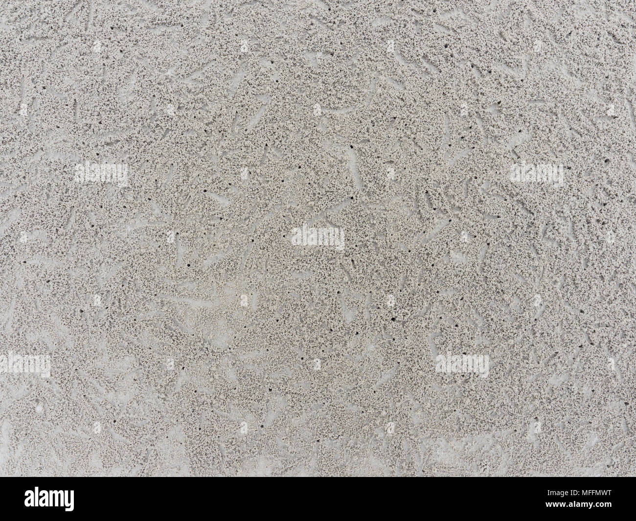 Burrow or hole with sediment balls or pellets made by sand where food ...