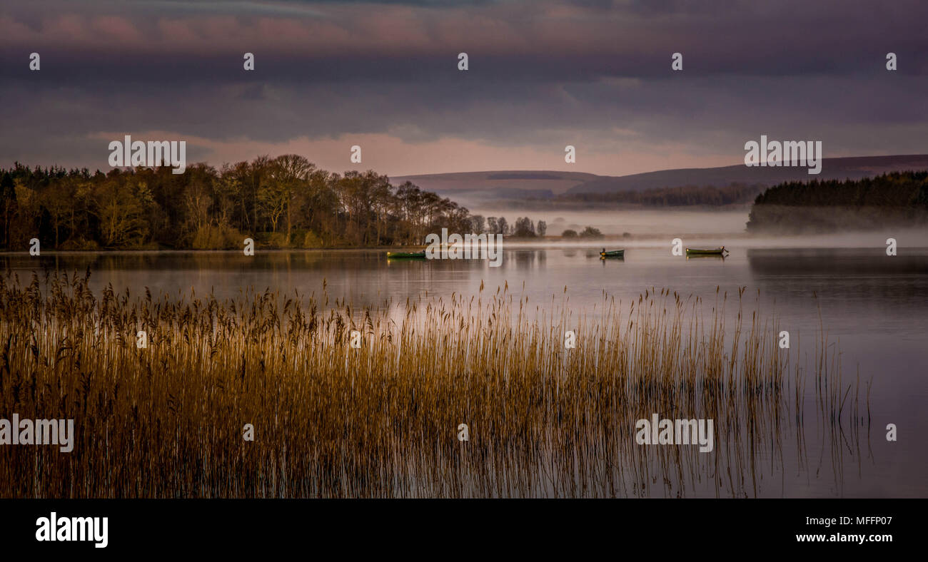 Lake Of Menteith Stock Photo - Alamy