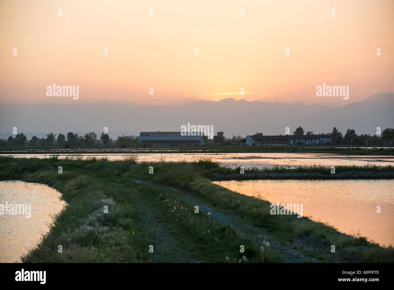 Piemonte rice fields hi-res stock photography and images - Alamy