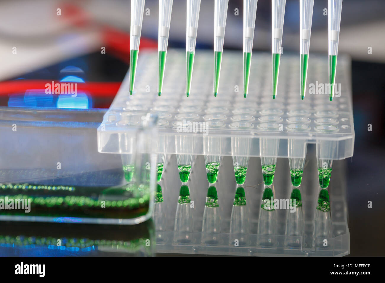 Loading agarose gel hi-res stock photography and images - Alamy