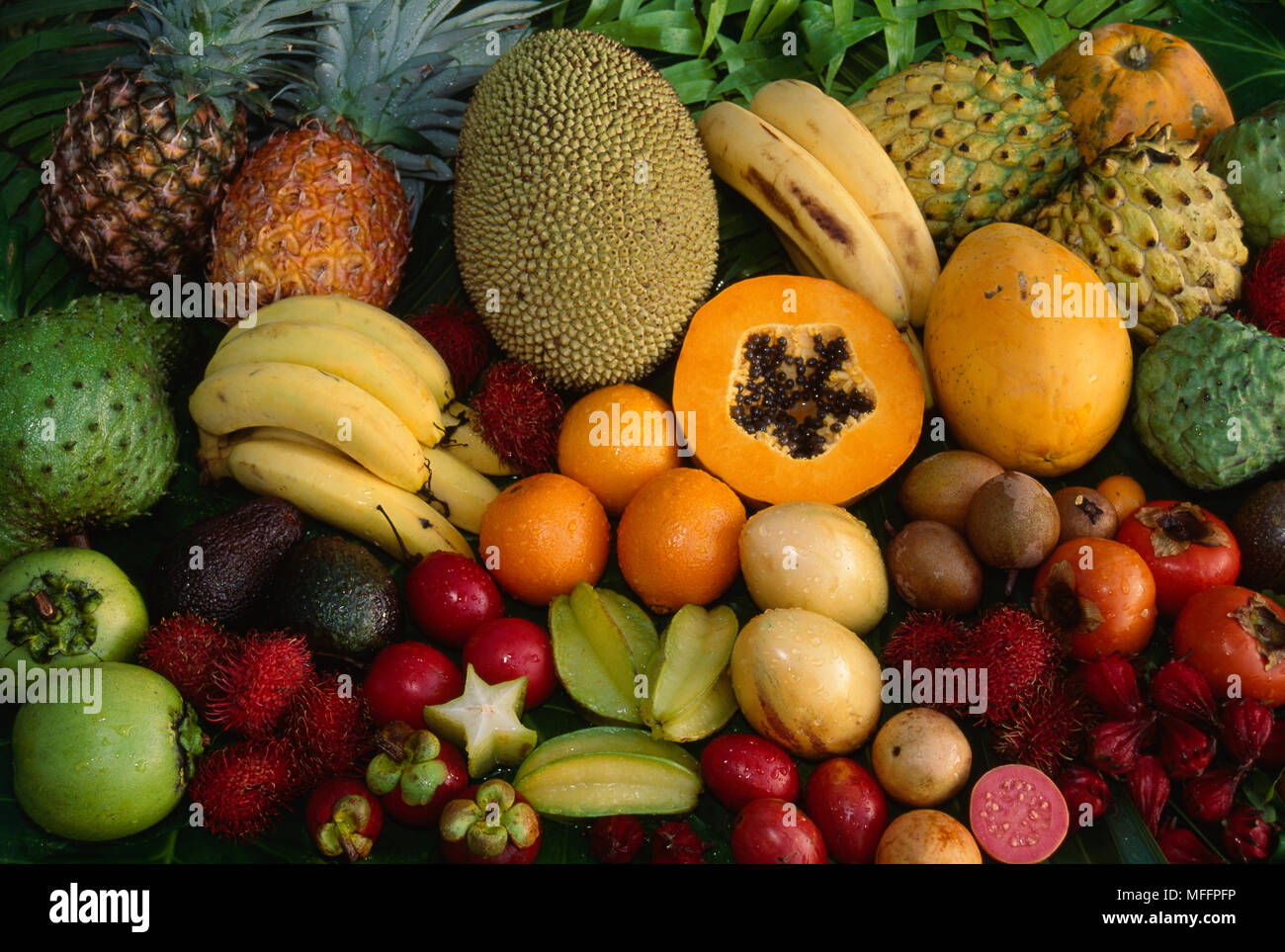TROPICAL FRUIT Sabah, Borneo Stock Photo - Alamy
