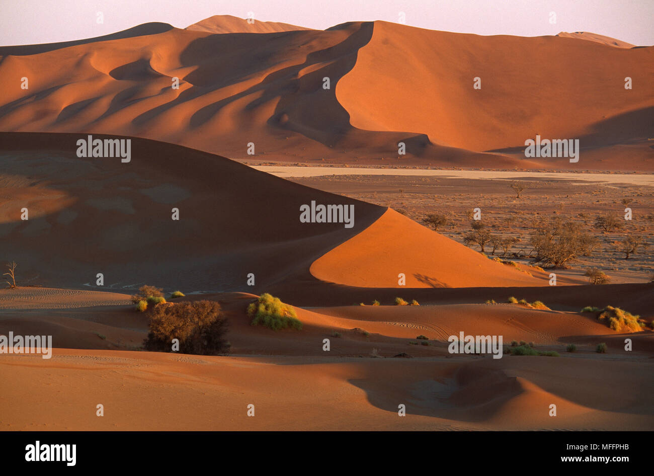 RED SAND DUNES Sossusvlei, Namib Desert, Namibia, south western Africa ...