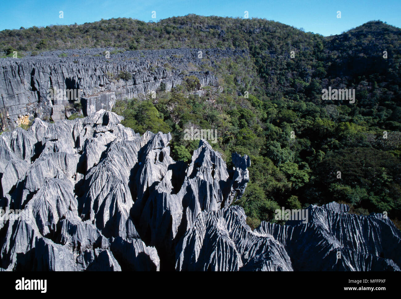 TSINGY in ANKARANA RESERVE Eroded limestone pinnacles Madagascar Stock ...