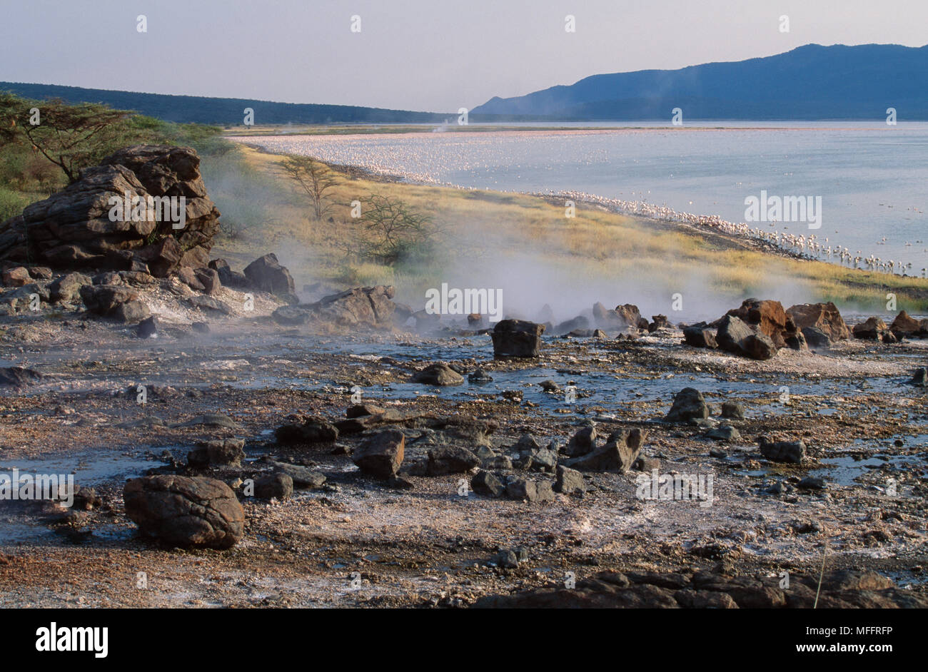 STEAM GEYSERS & boiling water Lake Bogoria, Great African Rift Valley ...