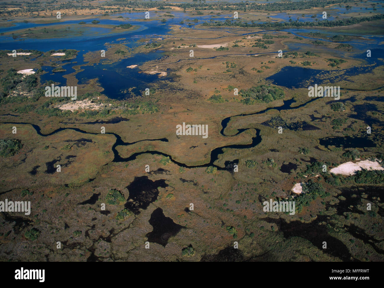 Okavango ecosystem hi-res stock photography and images - Alamy