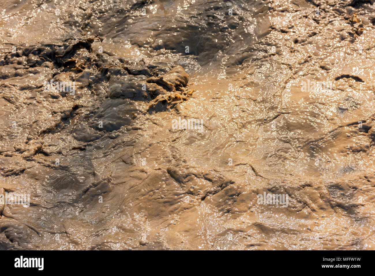 Spring seasonal river flood water hi-res stock photography and images ...