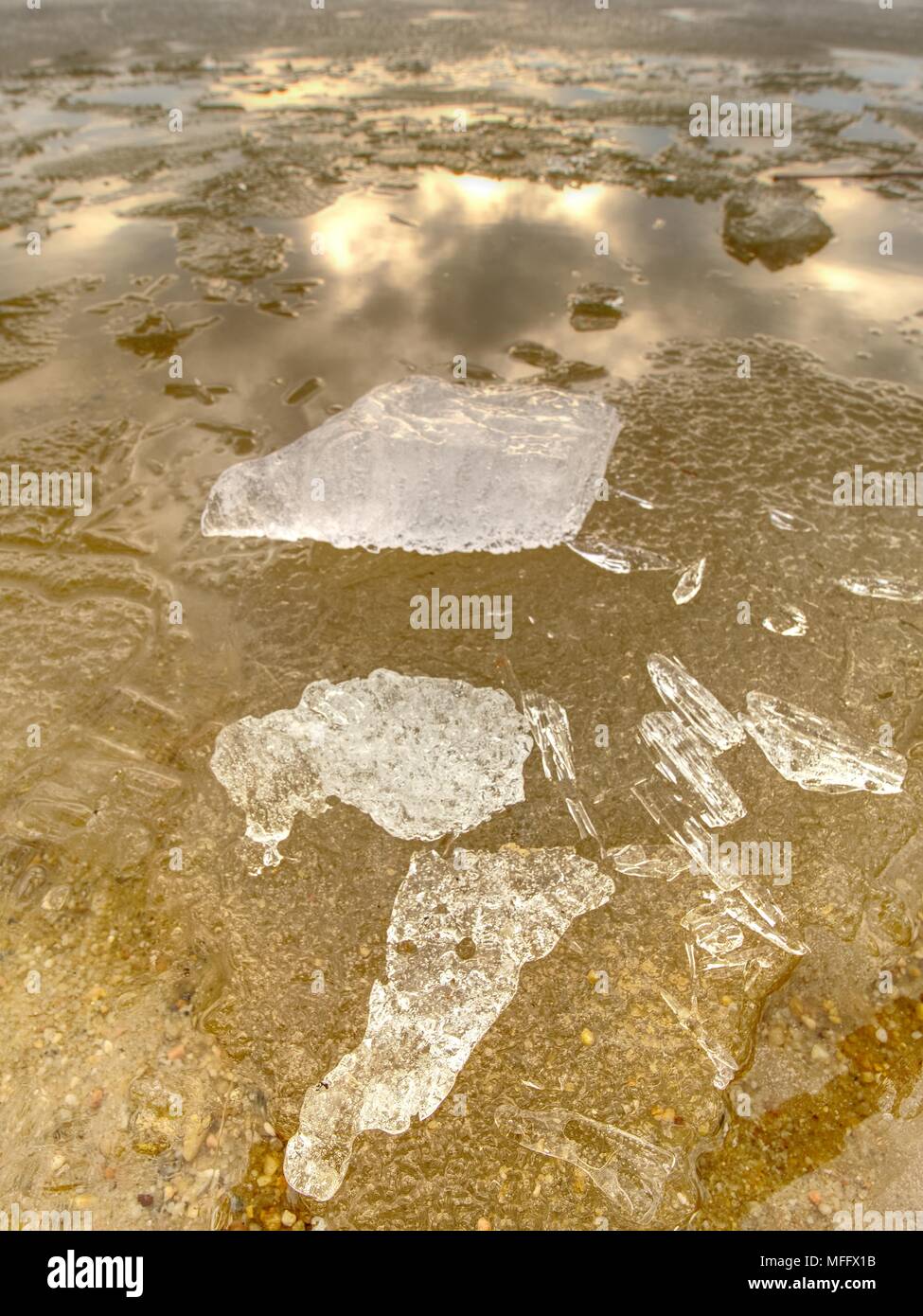 Winter natural wonder. Yellow pieces of snow melting on beach ...