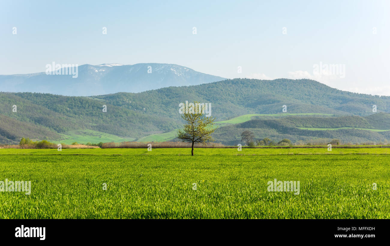 Lonely farm on field hi-res stock photography and images - Alamy