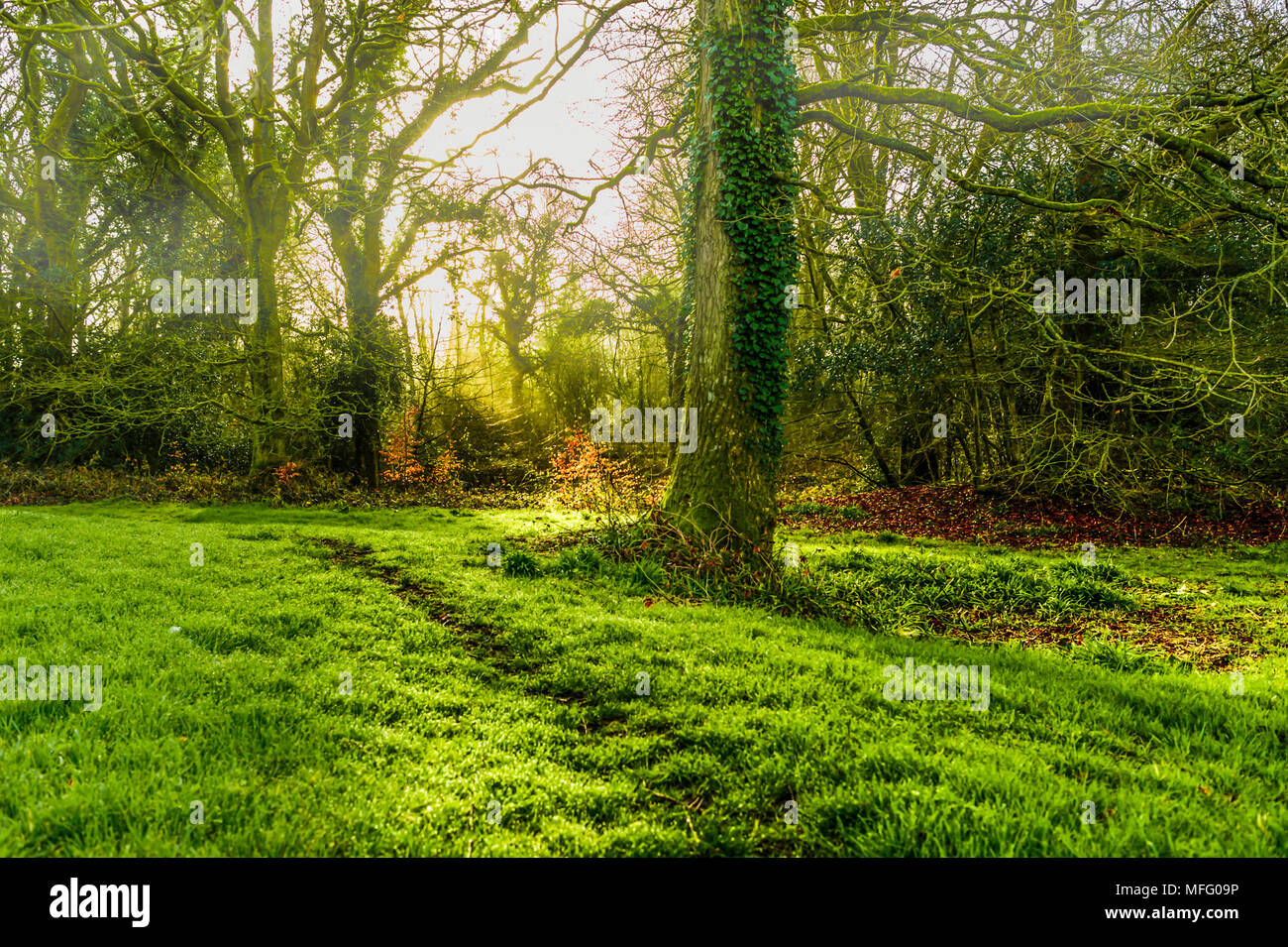 East knoyle hi-res stock photography and images - Alamy