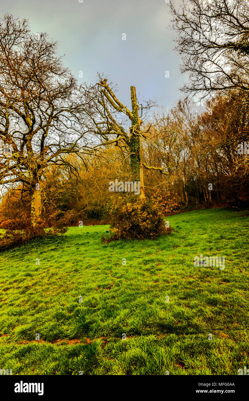 East knoyle hi-res stock photography and images - Alamy