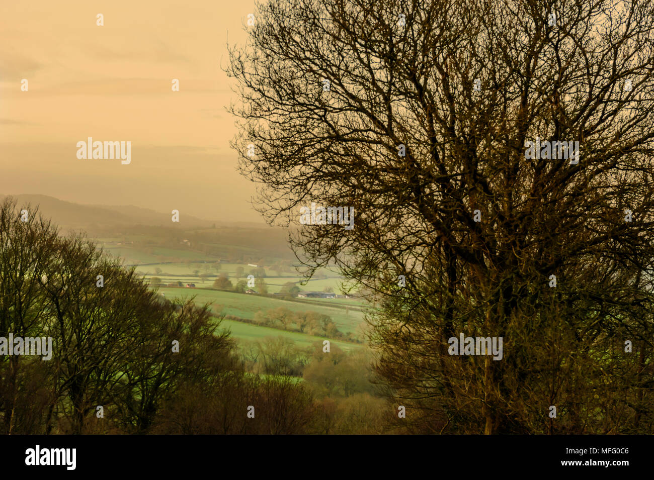 Sunrise - East Knoyle - Wiltshire - UK Stock Photo - Alamy
