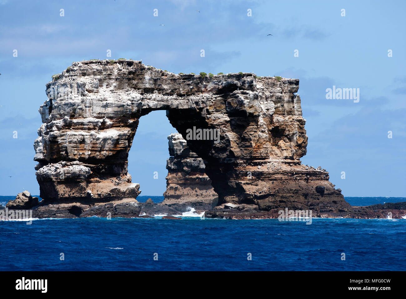 Darwin's Arch, a dramatic 50-foot tall natural lava arch, rises above ...
