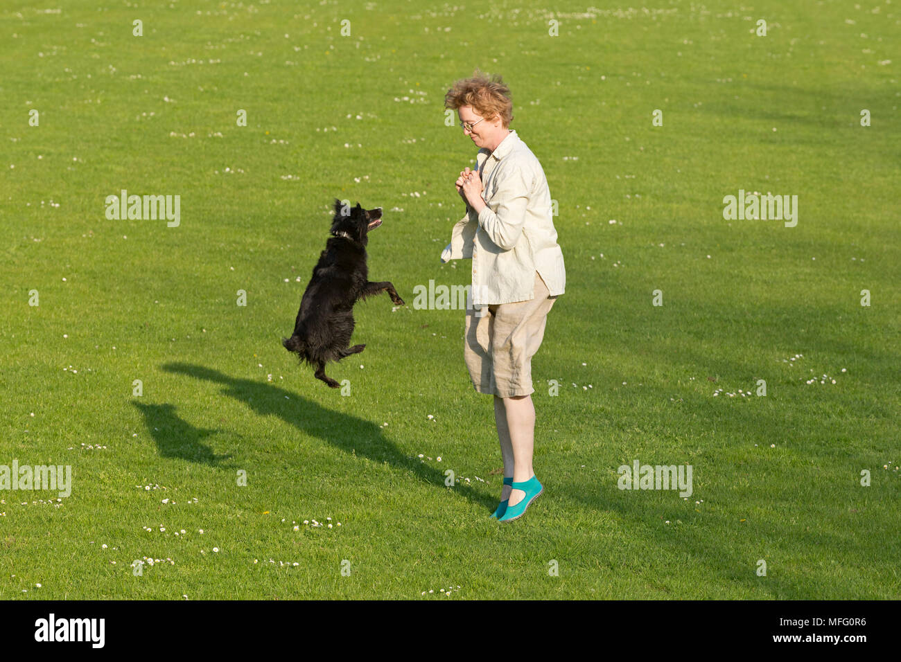 Dog training woman hi-res stock photography and images - Alamy