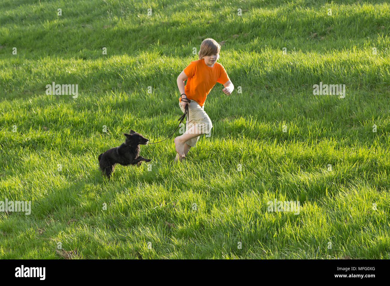 boy running with dog across meadow Stock Photo - Alamy