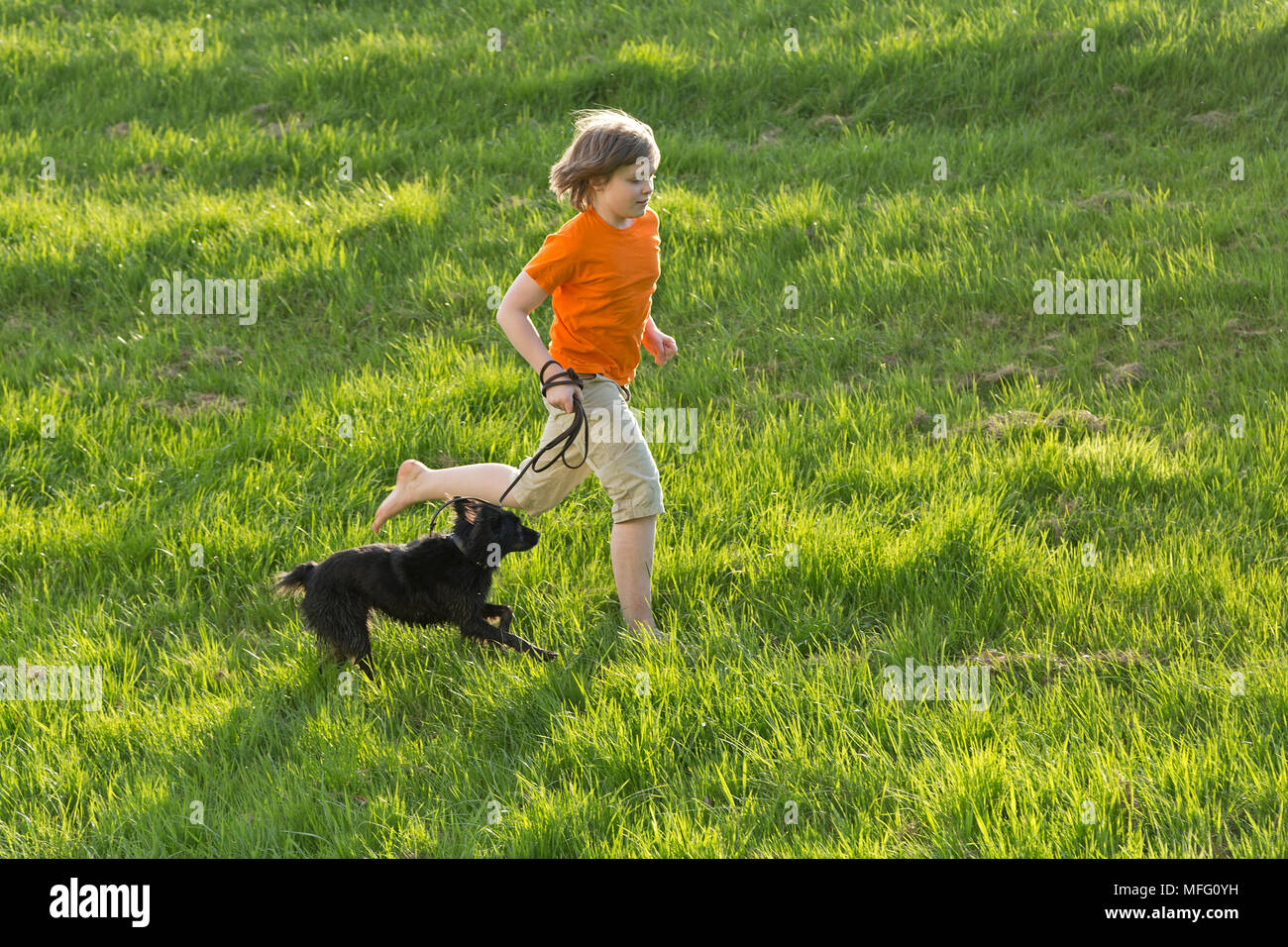 boy running with dog across meadow Stock Photo - Alamy