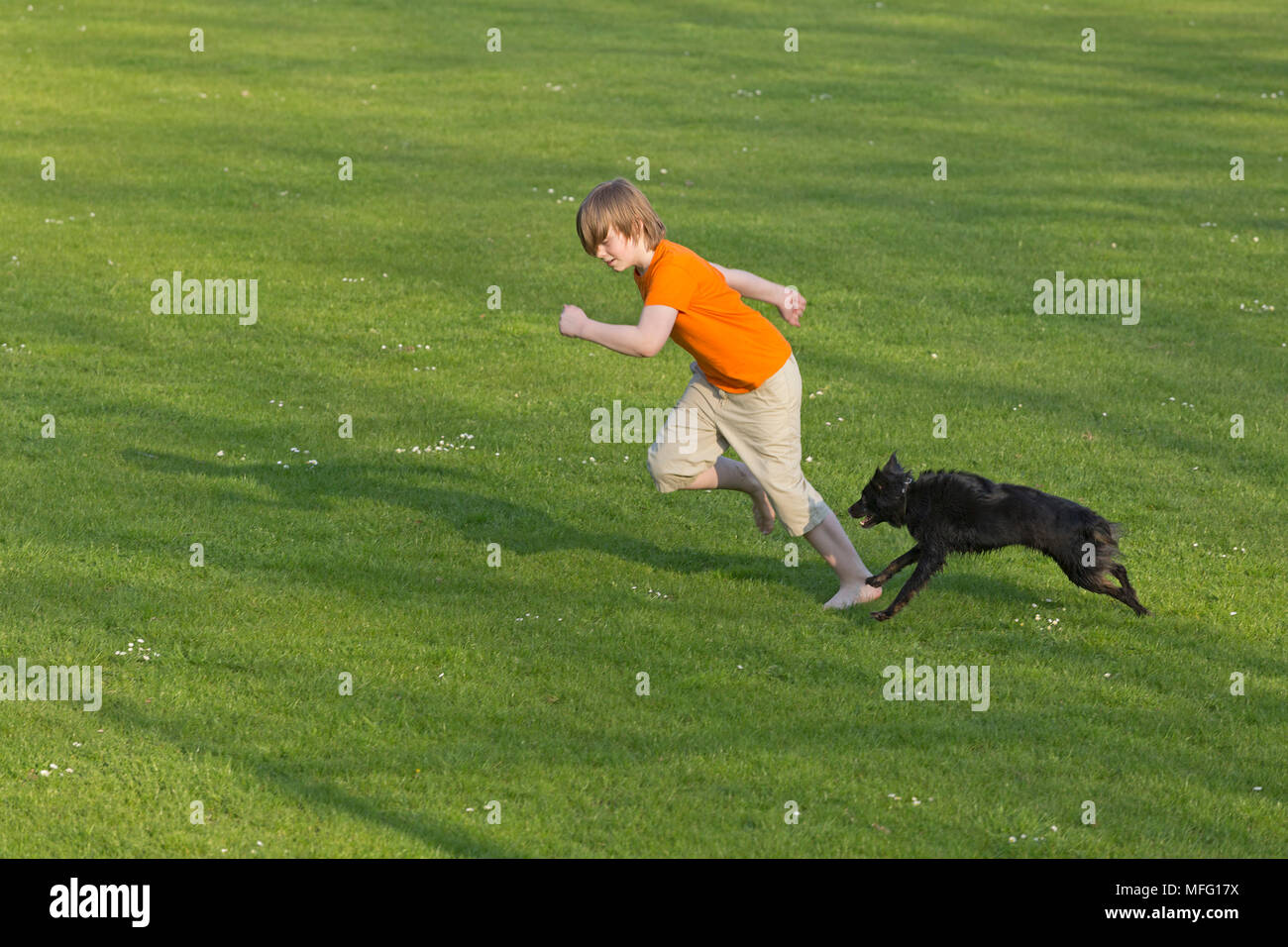 boy running with dog across lawn Stock Photo - Alamy