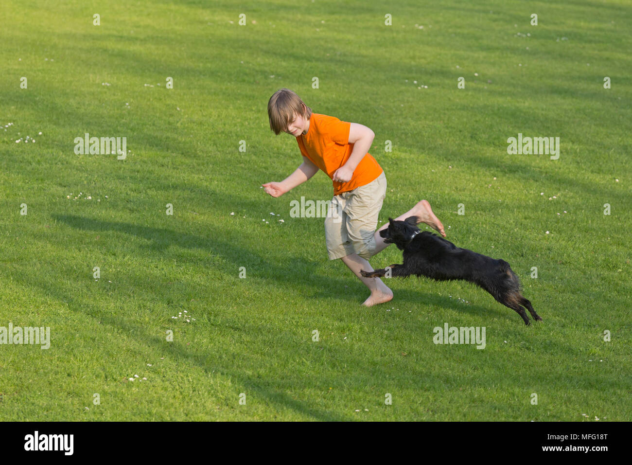 boy running with dog across lawn Stock Photo - Alamy