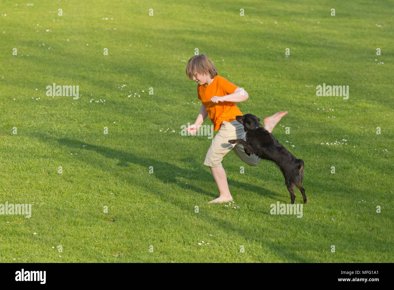 boy running with dog across lawn Stock Photo - Alamy