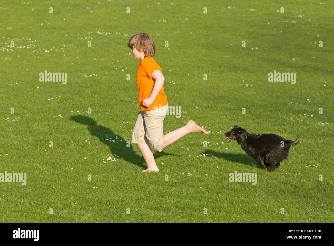boy running with dog across lawn Stock Photo - Alamy