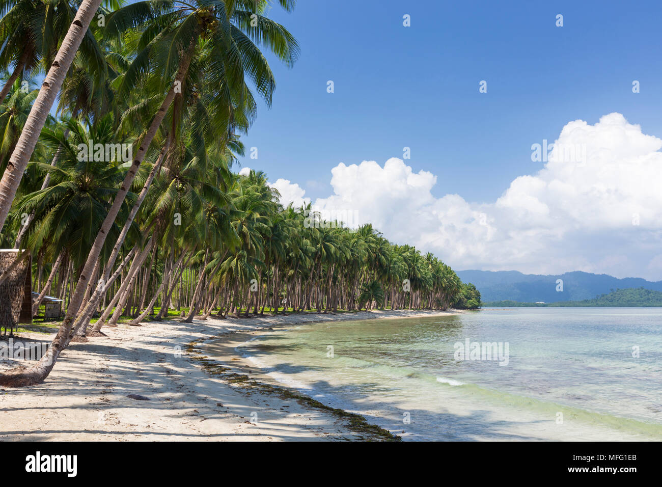 Austria beach, or coconut beach, near Port Barton, Palawan island ...