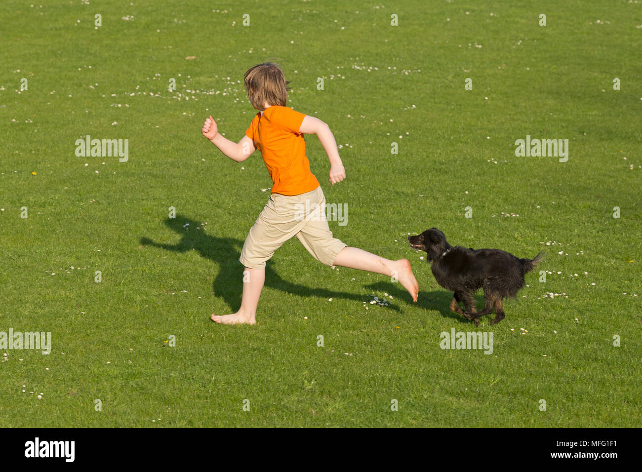 boy running with dog across lawn Stock Photo - Alamy