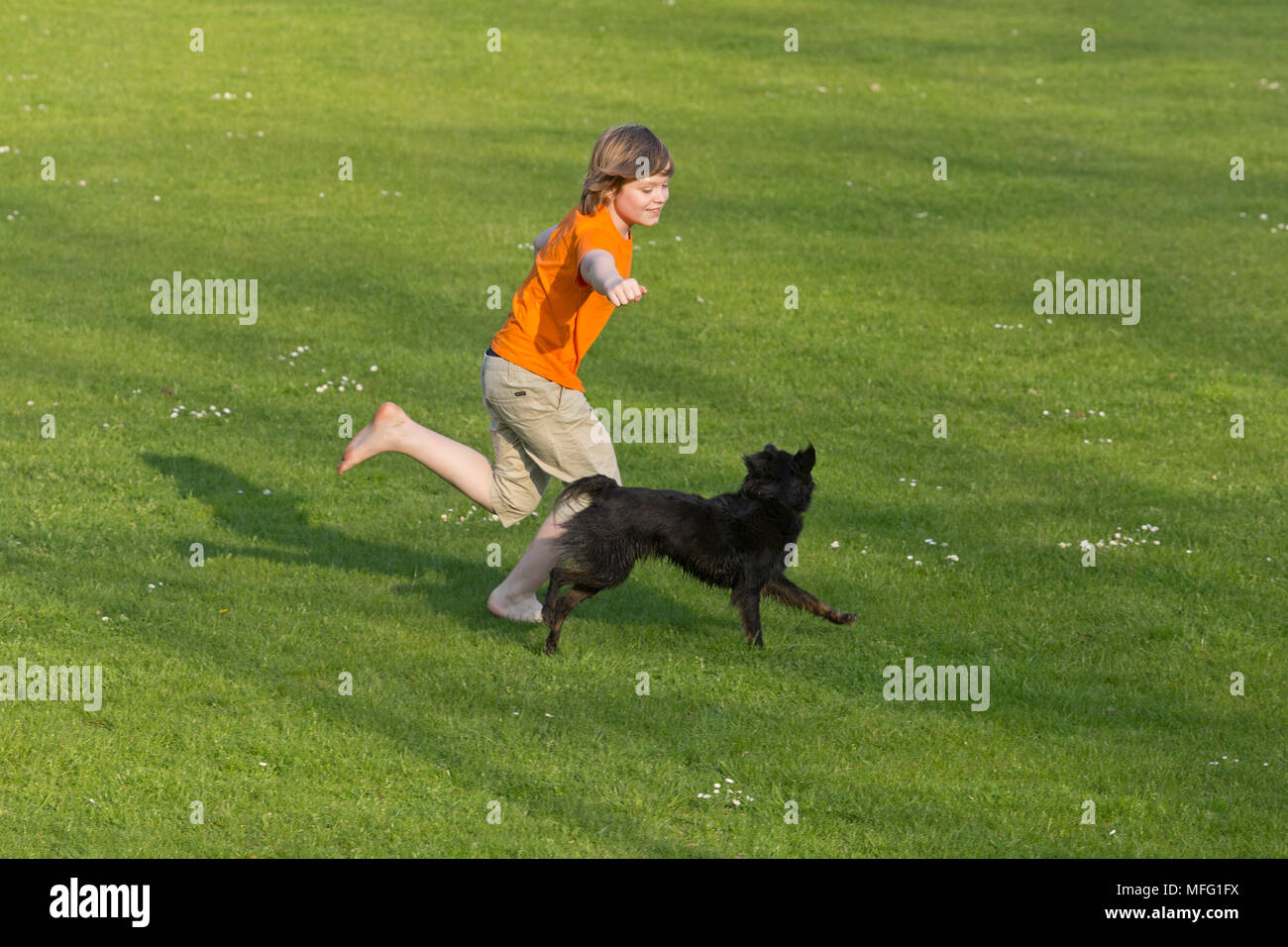 boy running with dog across lawn Stock Photo - Alamy
