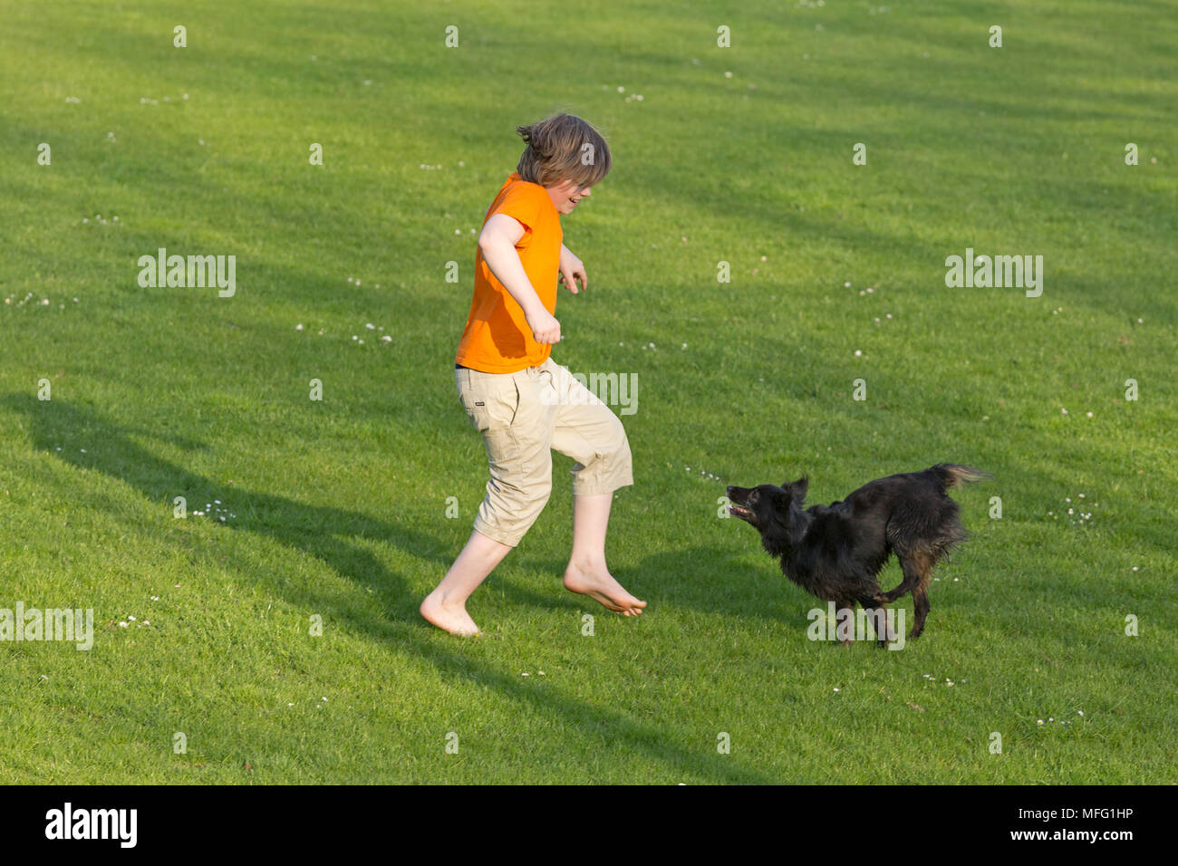 boy playing with dog Stock Photo - Alamy