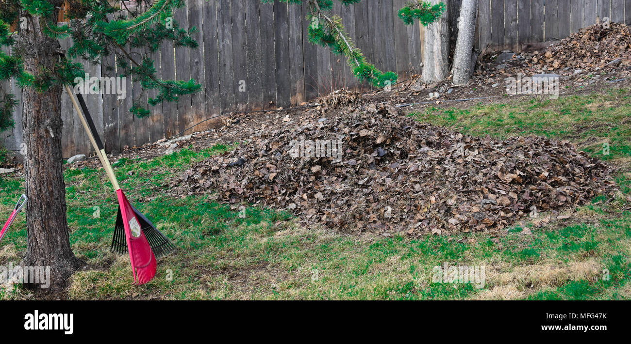 Large rake hi-res stock photography and images - Alamy
