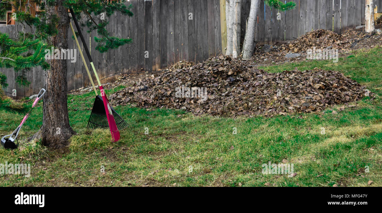 Large rake hi-res stock photography and images - Alamy