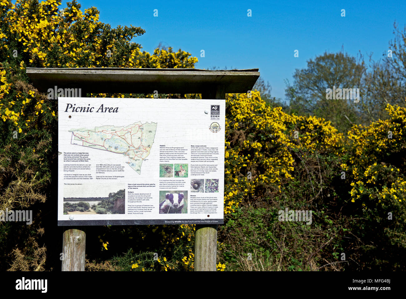 Fingringhoe Wick, an Essex Wildlife Trust nature reserve, Essex ...