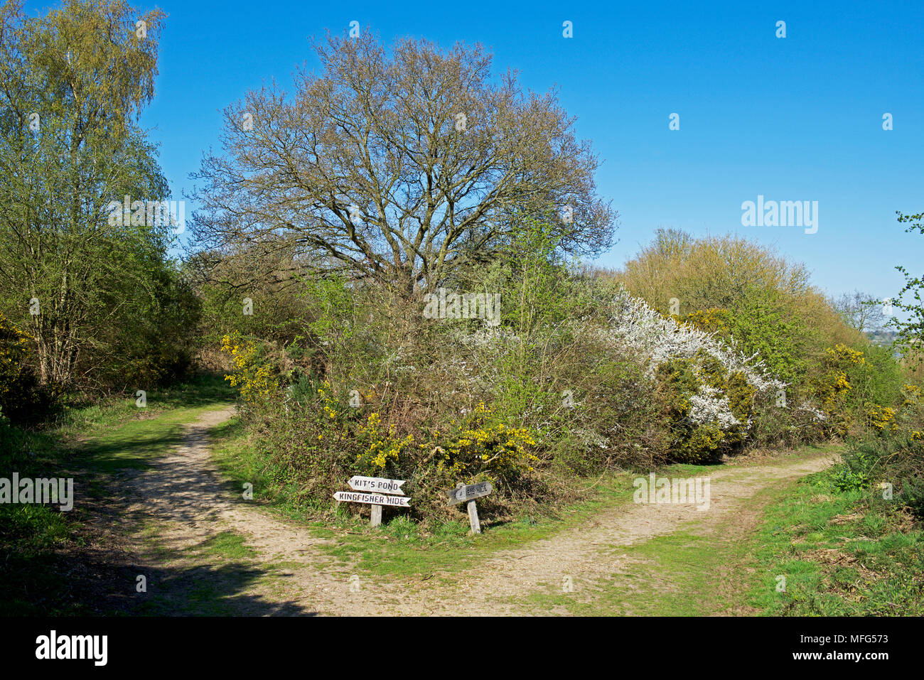 Fingringhoe Wick, an Essex Wildlife Trust nature reserve, Essex ...