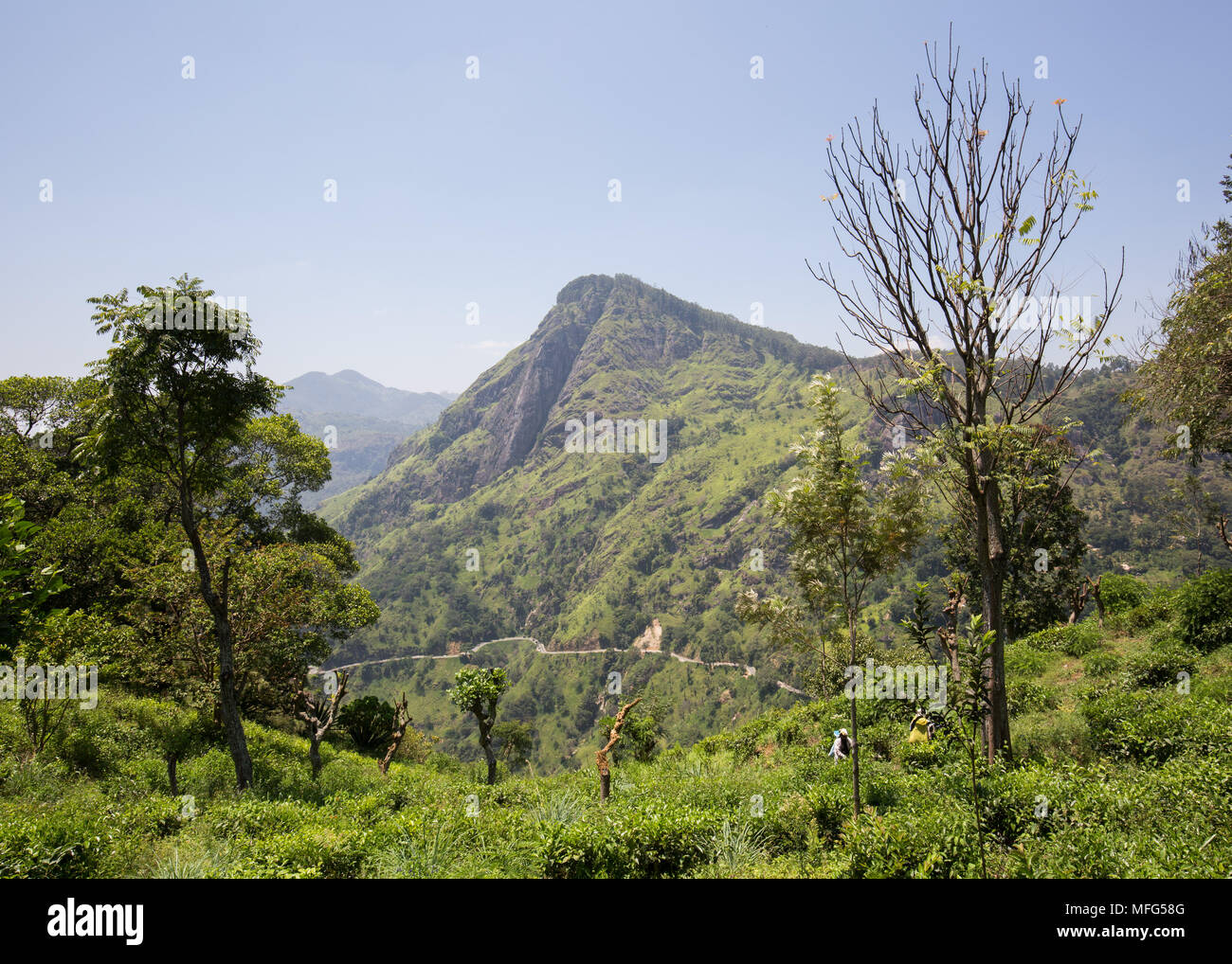 Ella rock hi-res stock photography and images - Alamy