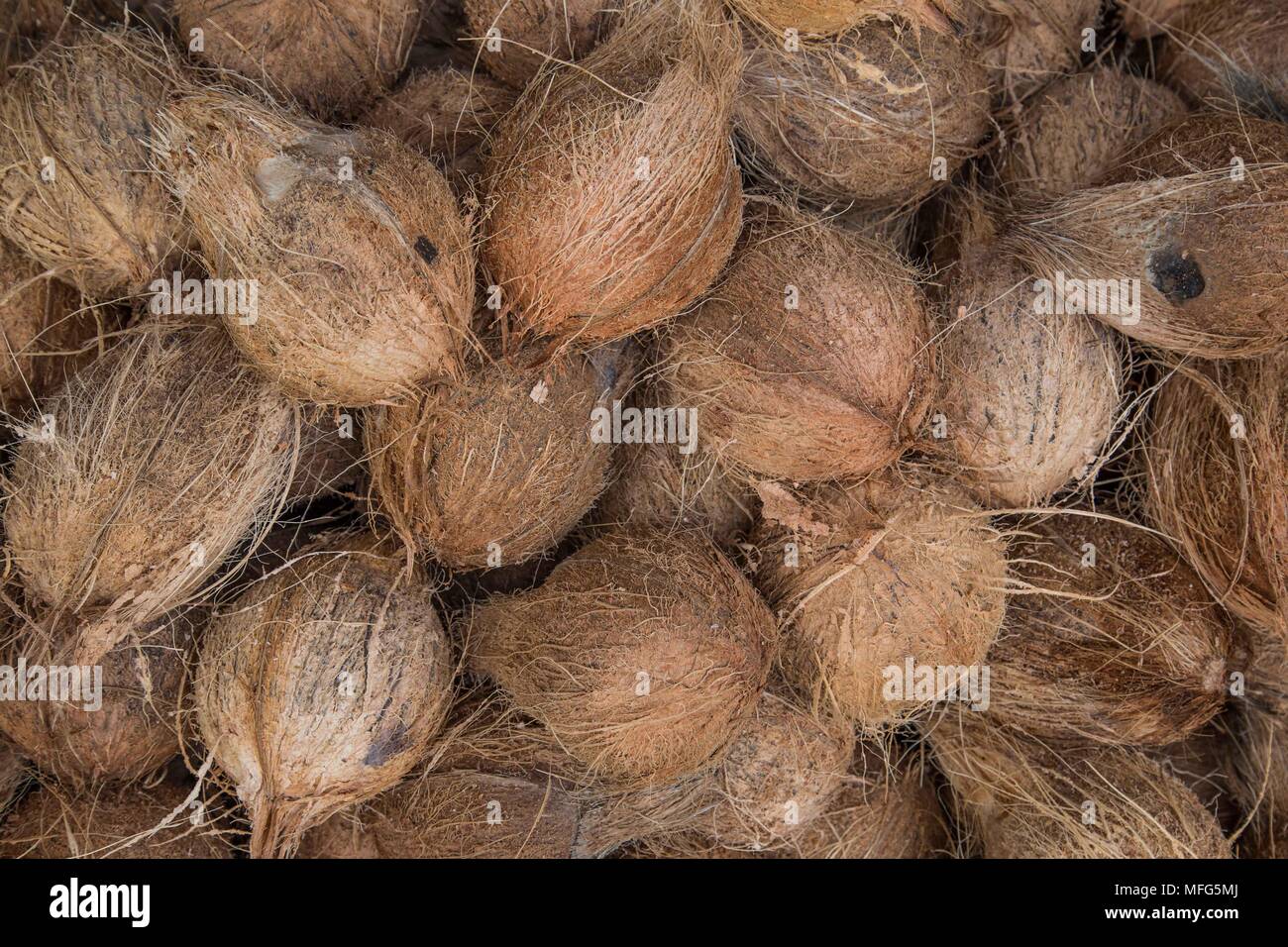 Pile of coconuts bckground Stock Photo - Alamy