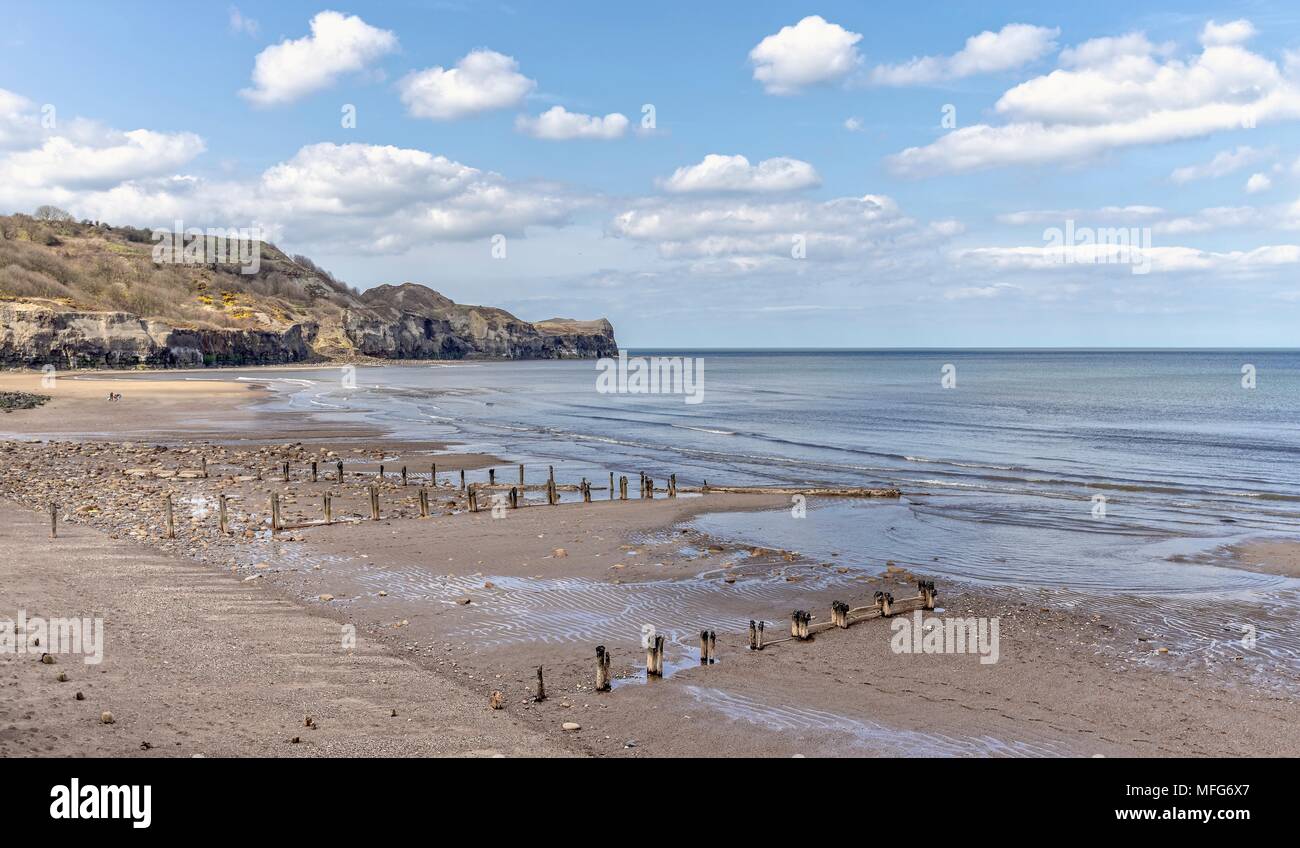 Beach and cliff at Sandsend, Yorkshire. Wooden posts of an old ...