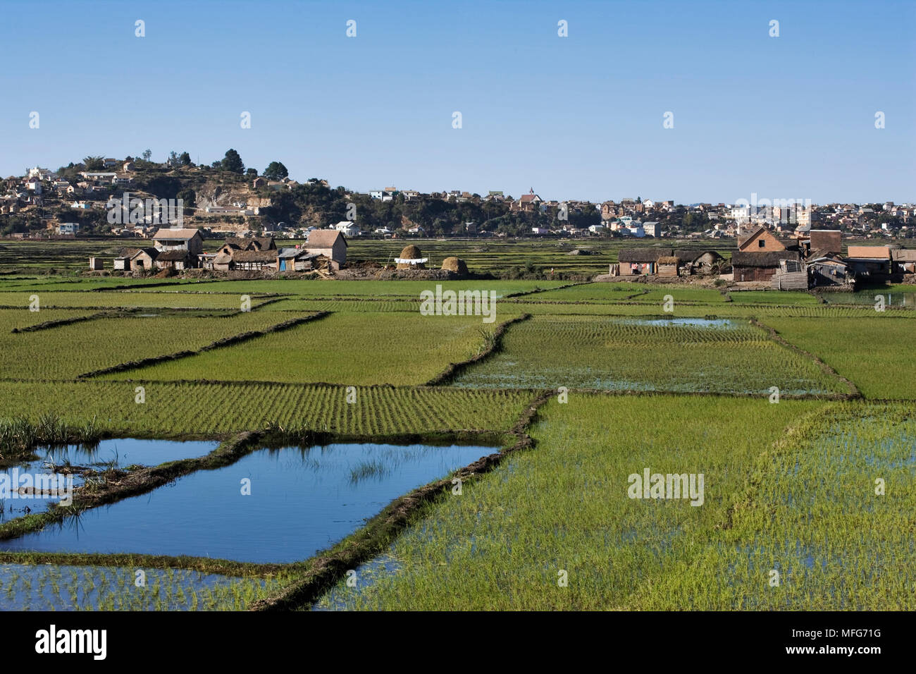 RICE PADDIES Antananarivo, Madagascar Stock Photo - Alamy