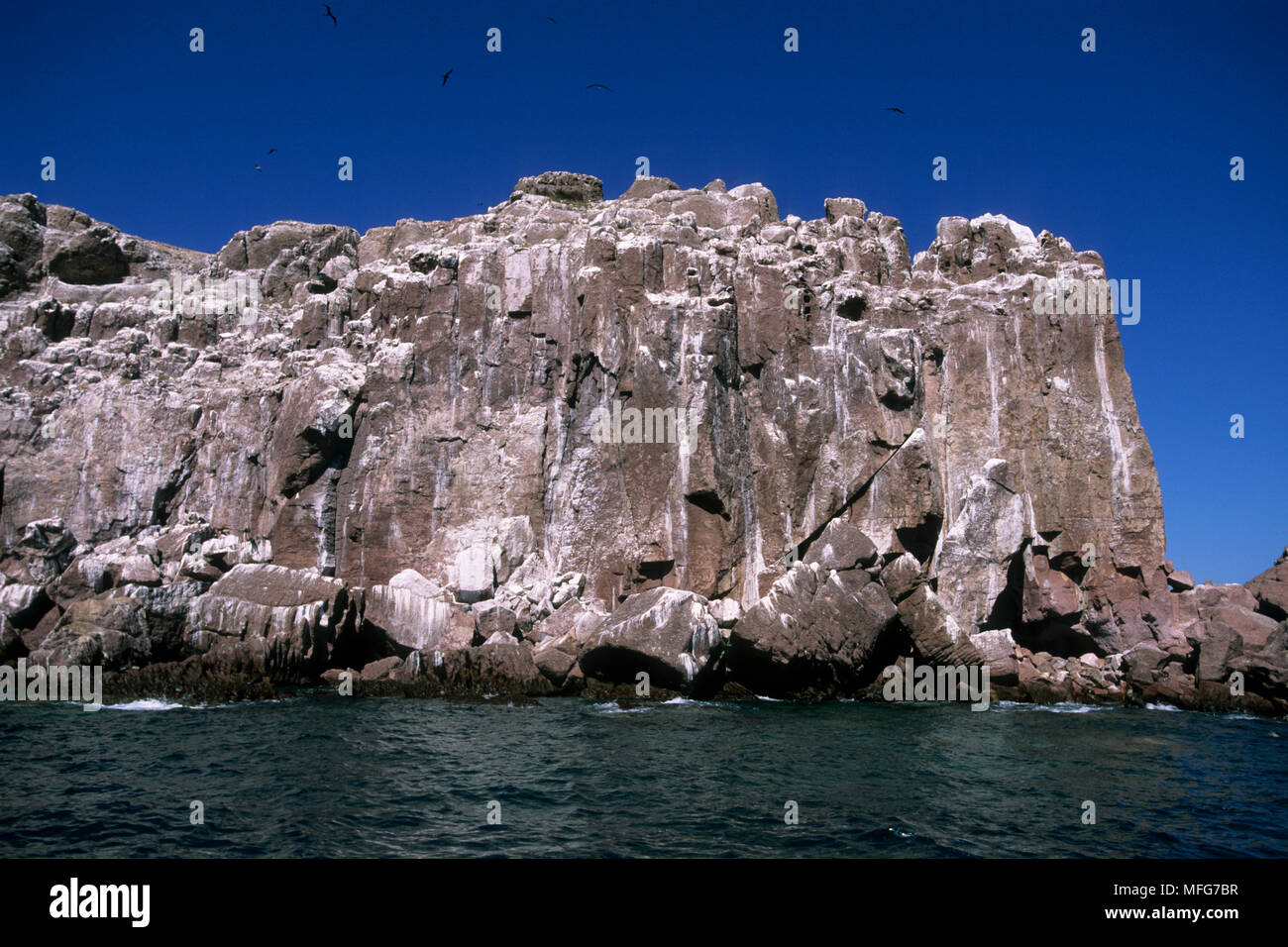 Los Islotes, Sea of Cortez, Baja California, Mexico, East Pacific Ocean ...