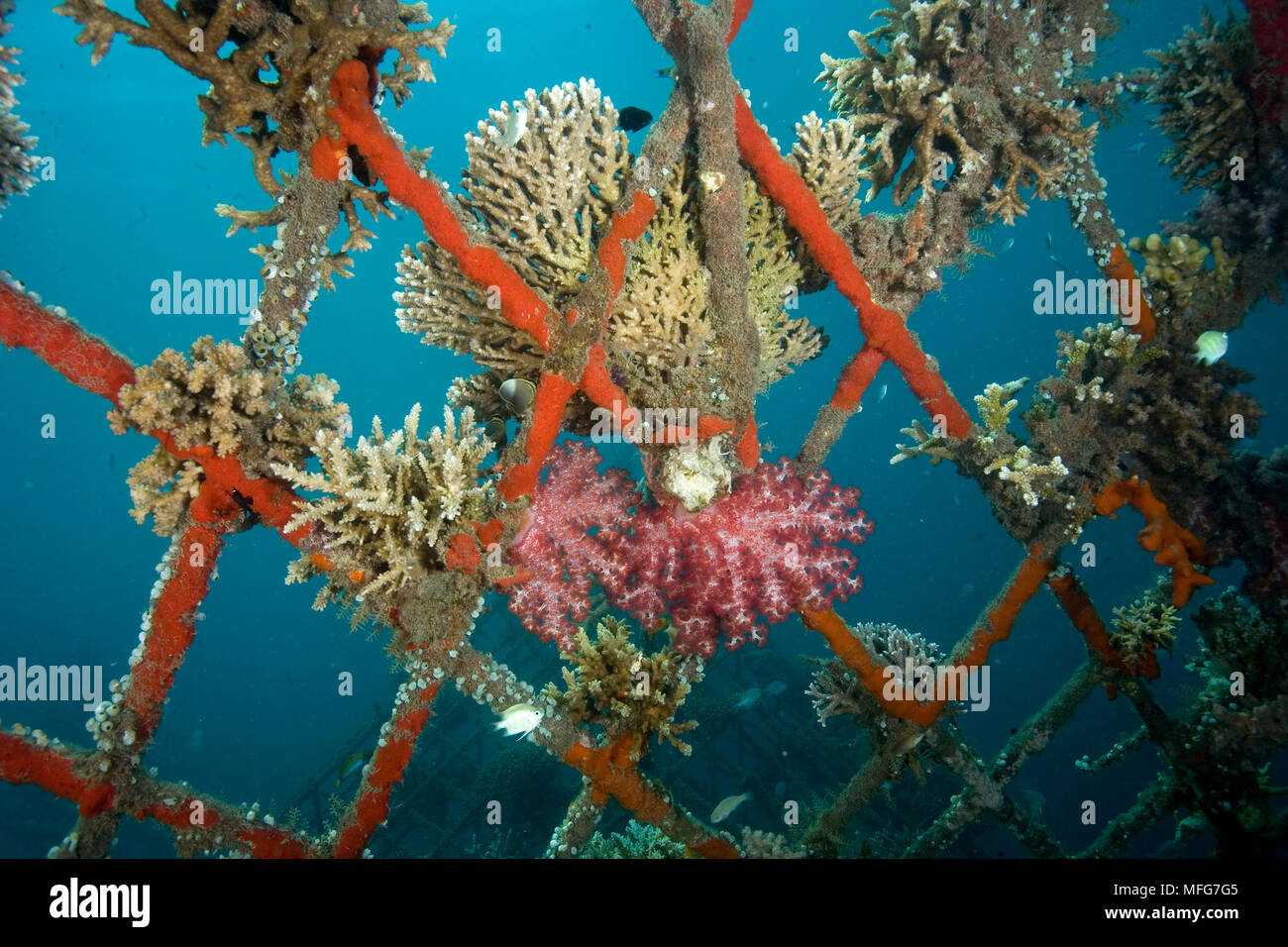 Artificial sponge structure hi-res stock photography and images - Alamy
