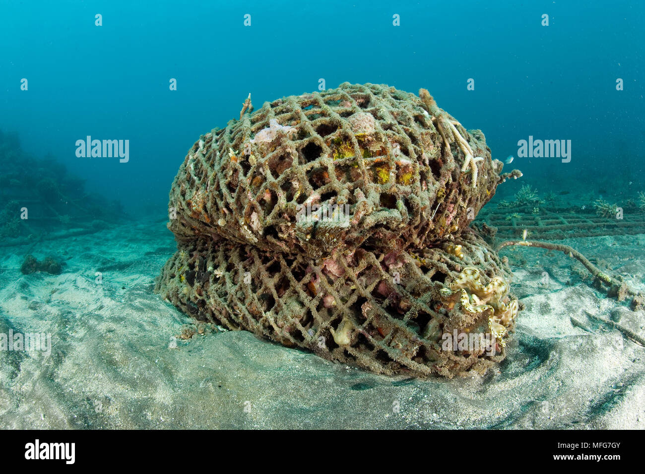 Structure of bio-rock, method of enhancing the growth of corals and ...